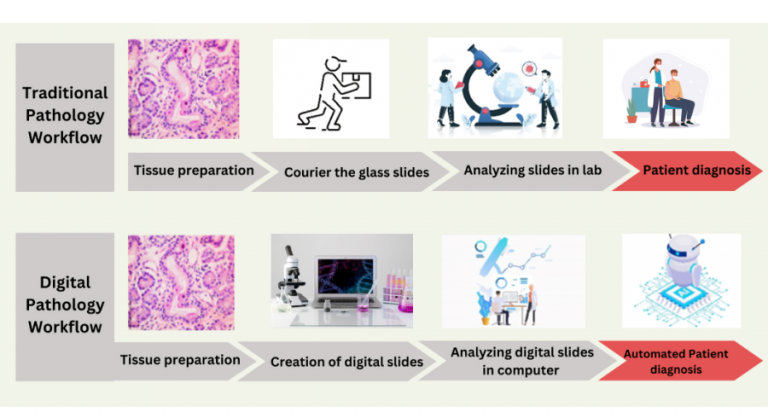 Digital Pathology and How AI Contributes to its Advancement? - ROSEAId